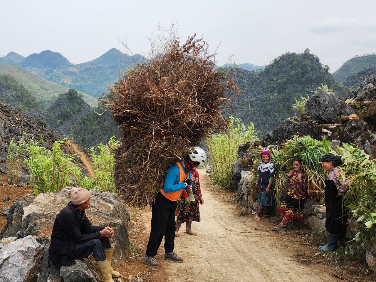 Rice Terraces Sapa Trek: The Complete Guide to Vietnam’s Most Iconic ...