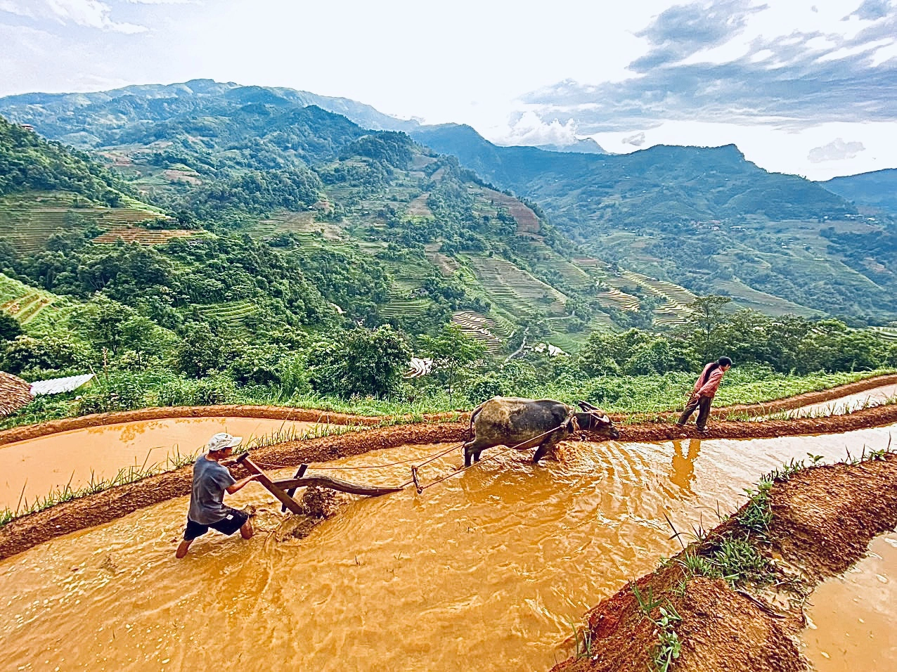 North Vietnam Road Trip 10 Days Bac Ha, Ha Giang, Hiking Tours Vietnam